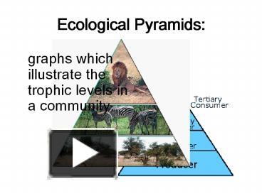 Ecological Pyramids: presentation | free to view