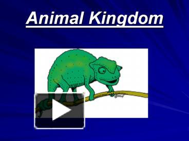 Animal Kingdom presentation | free to view
