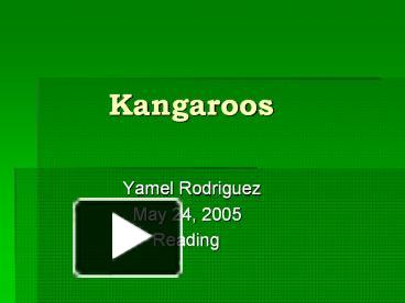 Kangaroos presentation | free to view