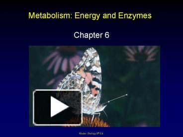 PPT – Metabolism: Energy and Enzymes PowerPoint presentation | free to ...