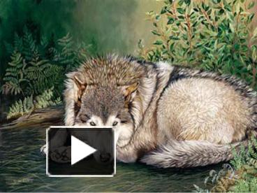 PPT – Le Loup PowerPoint presentation | free to download - id: 740c89-MzdiN