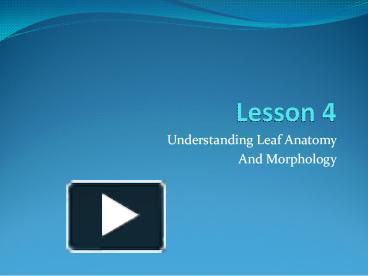 Understanding Leaf Anatomy presentation | free to view