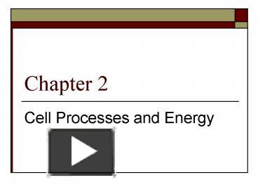 Cell Processes and Energy presentation | free to view