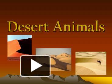 Desert Animals presentation | free to view