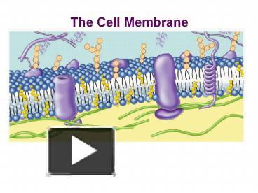 The Cell Membrane presentation | free to view