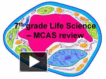 7th grade Life Science presentation | free to download