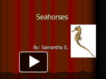 PPT – Seahorses PowerPoint presentation | free to view - id: 7471b-ZDc1Z