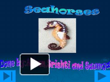 Seahorses presentation | free to view