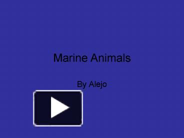 PPT – Marine Animals PowerPoint presentation | free to view - id: 747a9 ...