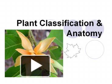 Plant Classification presentation | free to download