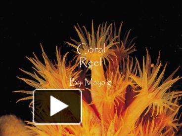 PPT – Coral Reef PowerPoint presentation | free to view - id: 74baa0-Yzk1Z