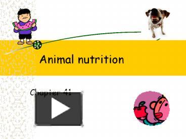 Animal nutrition presentation | free to download