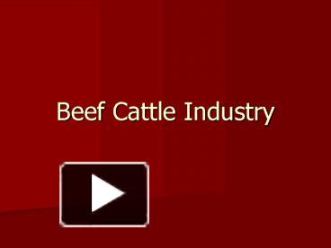 Beef Cattle Industry presentation | free to view
