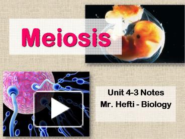 PPT – Meiosis PowerPoint presentation | free to view - id: 7502e1-ZmZhZ
