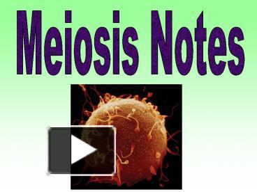 PPT – Meiosis Notes PowerPoint presentation | free to view - id: 75033e ...