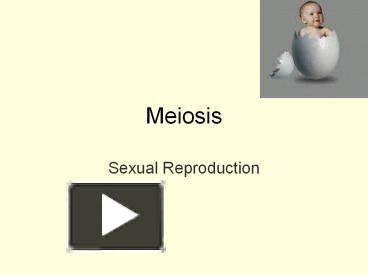 Meiosis presentation | free to download