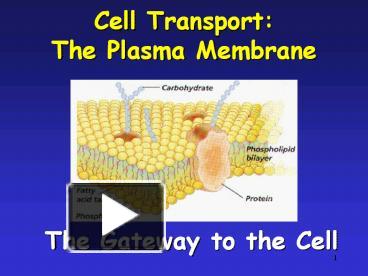 Cell Transport: The Plasma Membrane presentation | free to view