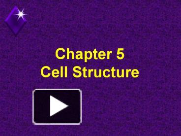 PPT – Chapter 5 Cell Structure PowerPoint presentation | free to view ...