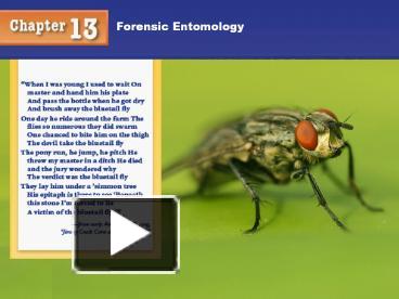 FORENSIC ENTOMOLOGY presentation | free to view