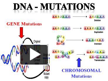 DNA - MUtations presentation | free to view