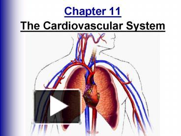 Chapter 11 The Cardiovascular System presentation | free to view