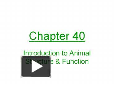 PPT – Introduction to Animal Structure PowerPoint presentation | free ...