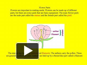 PPT – Flower Parts PowerPoint presentation | free to view - id: 75c66-YmYyZ