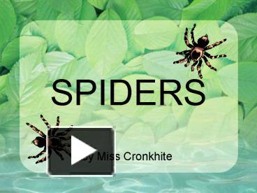 SPIDERS presentation | free to view