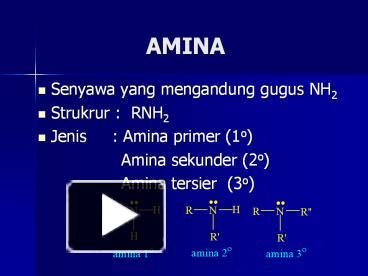 AMINA presentation | free to download