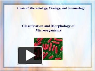 PPT – Classification and Morphology of Microorganisms PowerPoint presentation | free to view ...