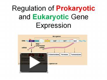 PPT – Regulation of Prokaryotic and Eukaryotic Gene Expression ...
