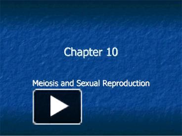 PPT – Meiosis and Sexual Reproduction PowerPoint presentation | free to ...