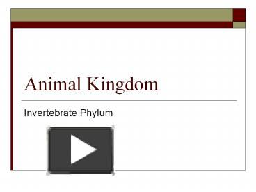PPT – Animal Kingdom PowerPoint presentation | free to download - id ...
