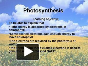 PPT – Photosynthesis PowerPoint presentation | free to download - id ...