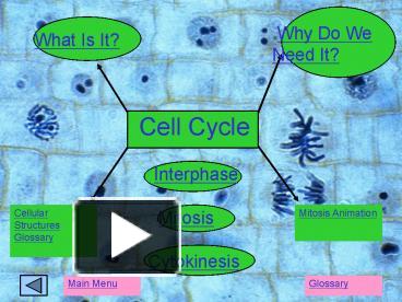 Cell Cycle presentation | free to view