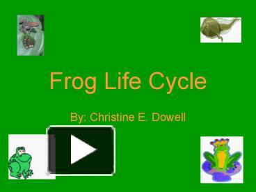 PPT – Frog Life Cycle PowerPoint presentation | free to view - id ...