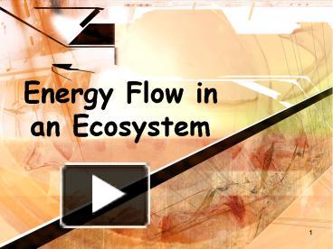 Energy Flow in an Ecosystem presentation | free to download