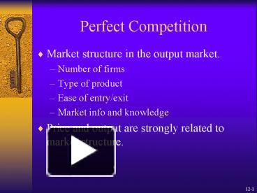 Perfect Competition presentation | free to view