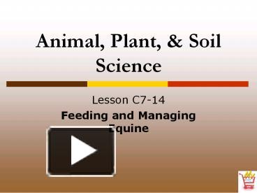 PPT – Animal, Plant, PowerPoint presentation | free to download - id ...