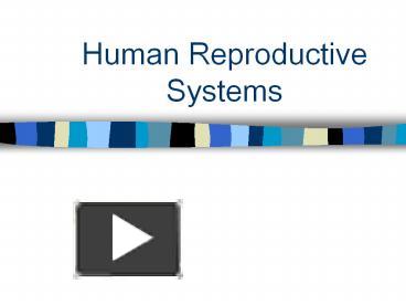 PPT – Human Reproductive Systems PowerPoint presentation | free to view ...