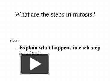 PPT – What are the steps in mitosis? PowerPoint presentation | free to ...
