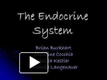 The Endocrine System presentation | free to view