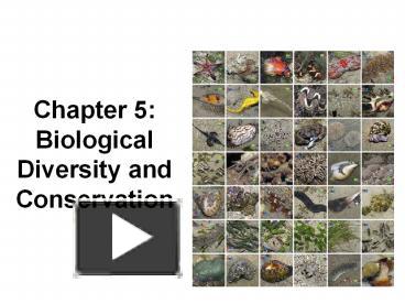 Chapter 5: Biological Diversity and Conservation presentation | free to ...