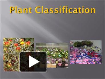 Plant%20Classification presentation | free to download