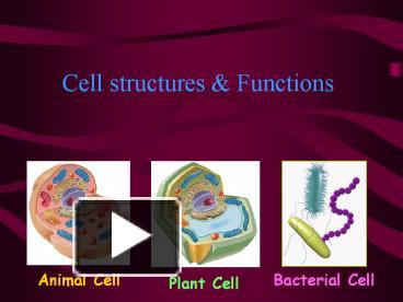 Cell structures presentation | free to download