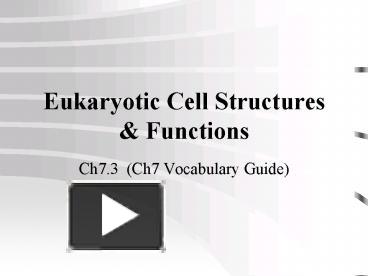 PPT – Eukaryotic Cell Structures PowerPoint presentation | free to view ...