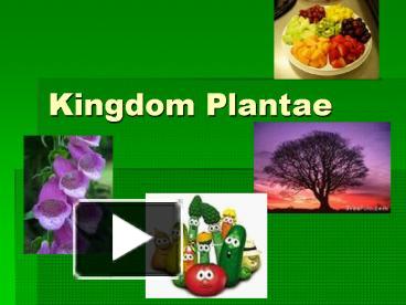 PPT – Kingdom Plantae PowerPoint presentation | free to view - id ...