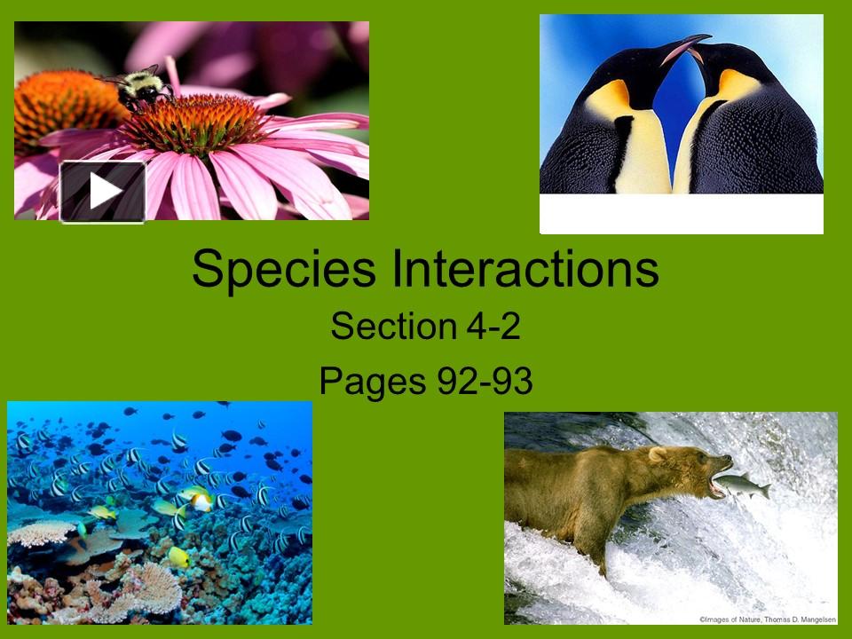 Species Interactions presentation | free to download