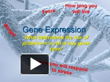 PPT – Gene Expression PowerPoint presentation | free to view - id ...