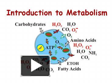 PPT – Introduction to Metabolism PowerPoint presentation | free to ...